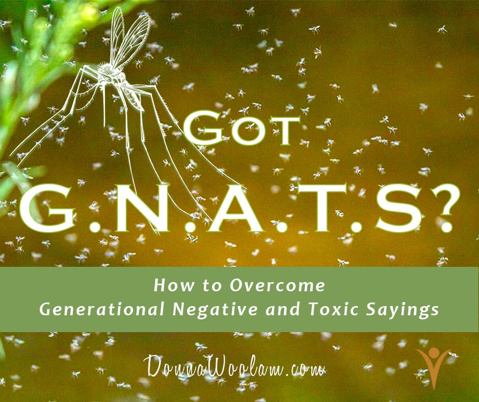 GNAT Problems? - Donna Woolam, Living At My Best